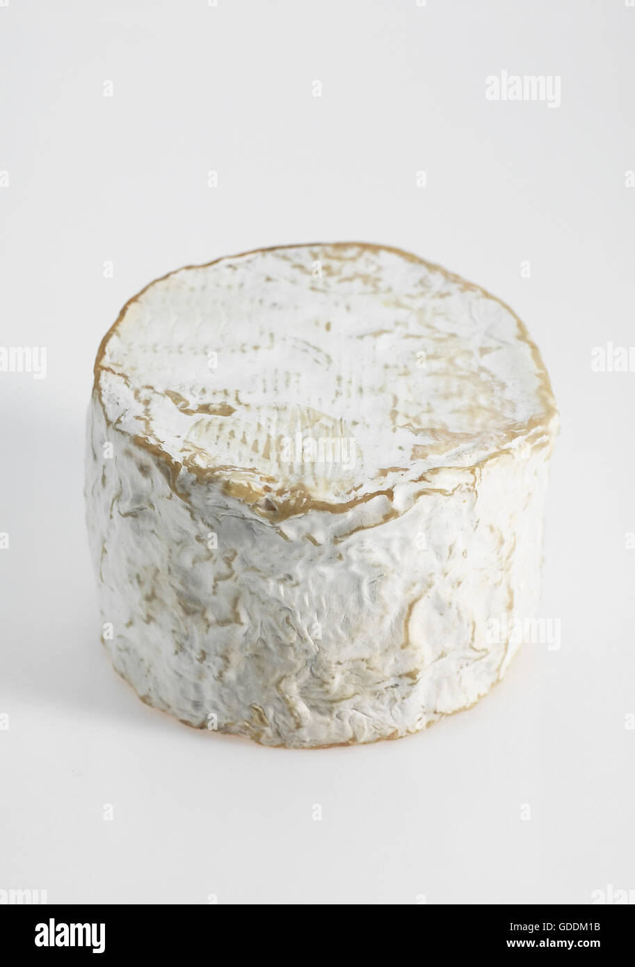 Brillat Savarin, French Cheese produced from Cow's Milk Stock Photo - Alamy