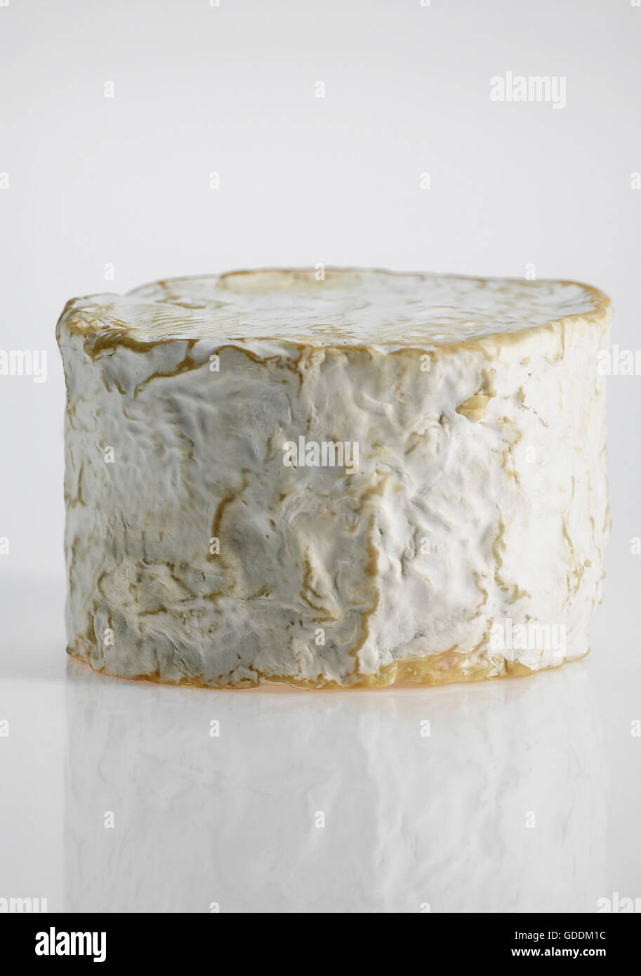 Brillat Savarin, French Cheese produced from Cow's Milk Stock Photo - Alamy