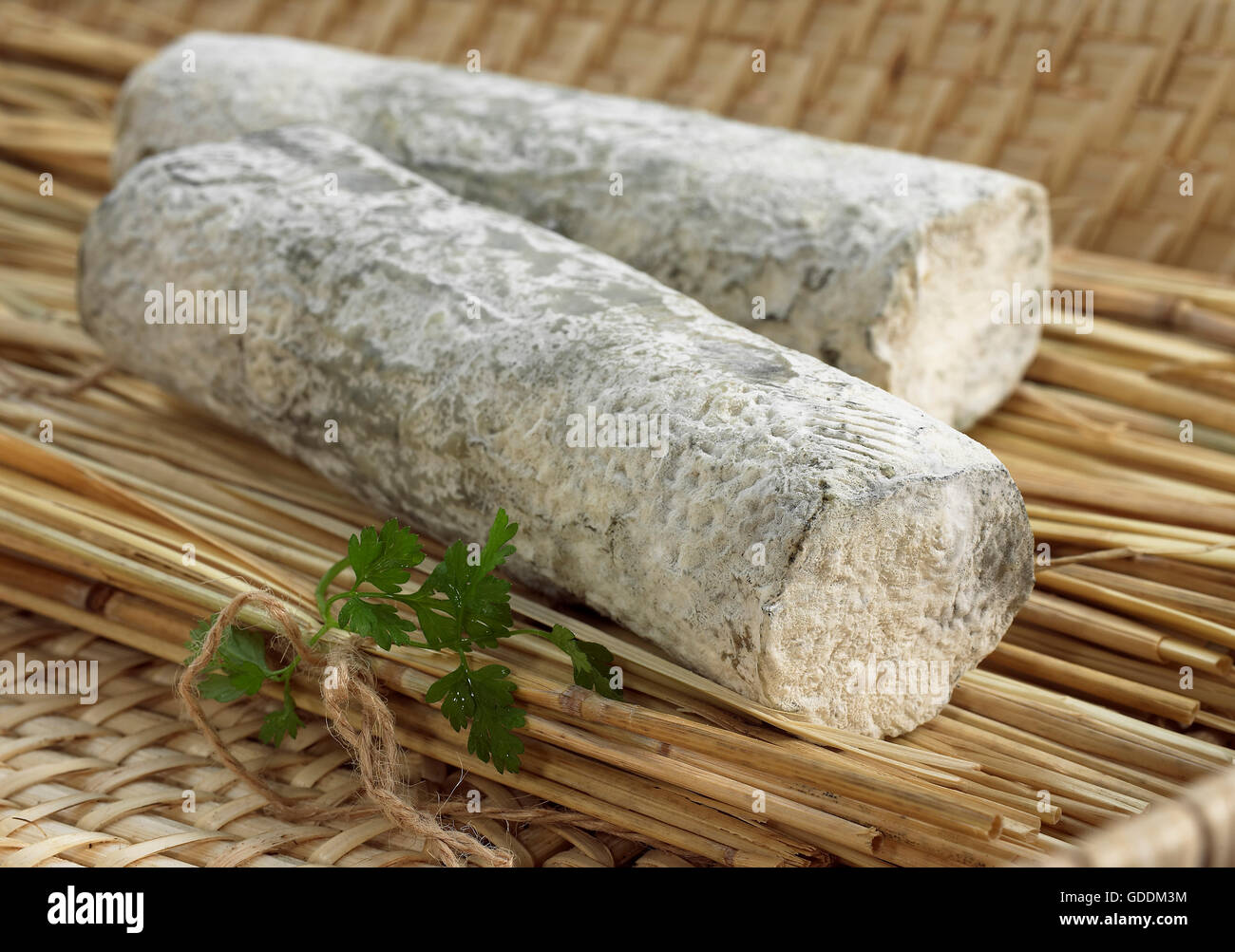 SAINTE MAURE CHEESE, A FRENCH CHEESE MADE FROM GOAT'S MILK Stock Photo ...