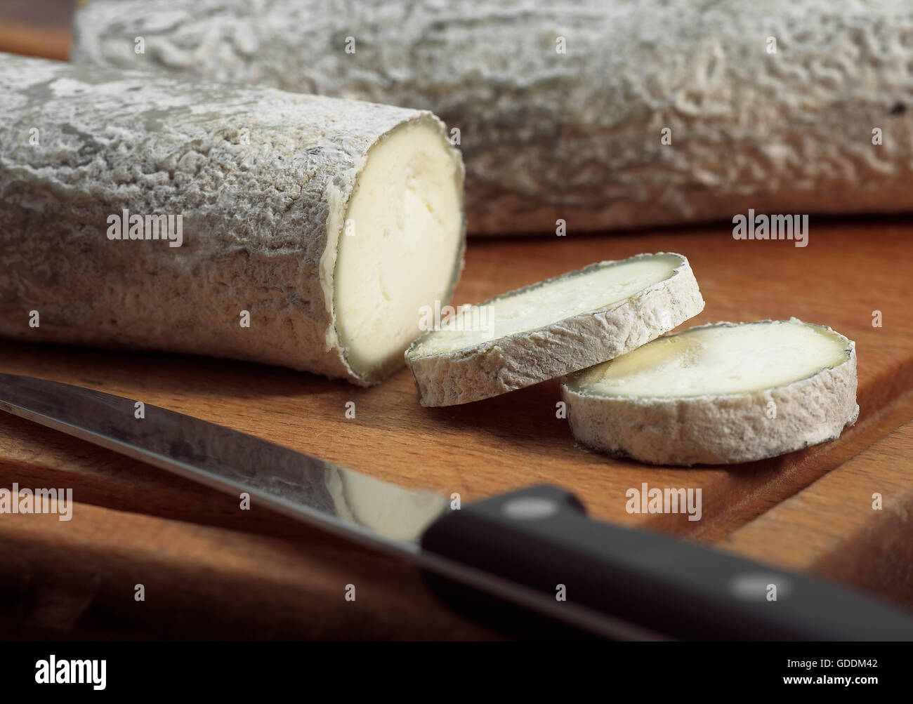 SAINTE MAURE CHEESE, A FRENCH CHEESE MADE FROM GOAT'S MILK Stock Photo ...