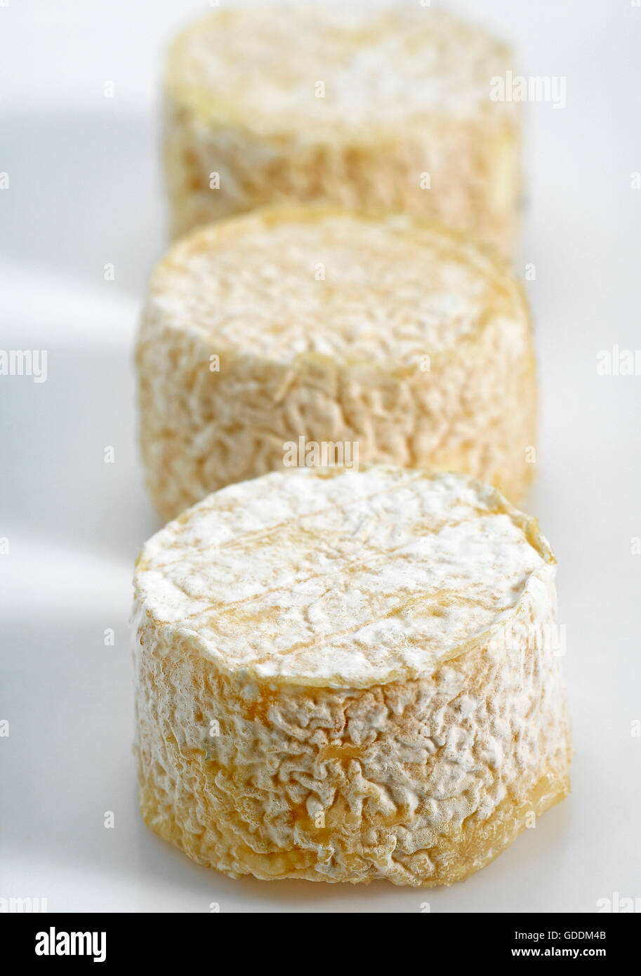 French Cheese Called Crottin, Cheese made with Goat Milk Stock Photo ...