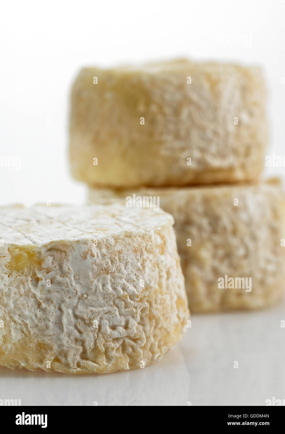 French goat cheese called crottin hi-res stock photography and images ...