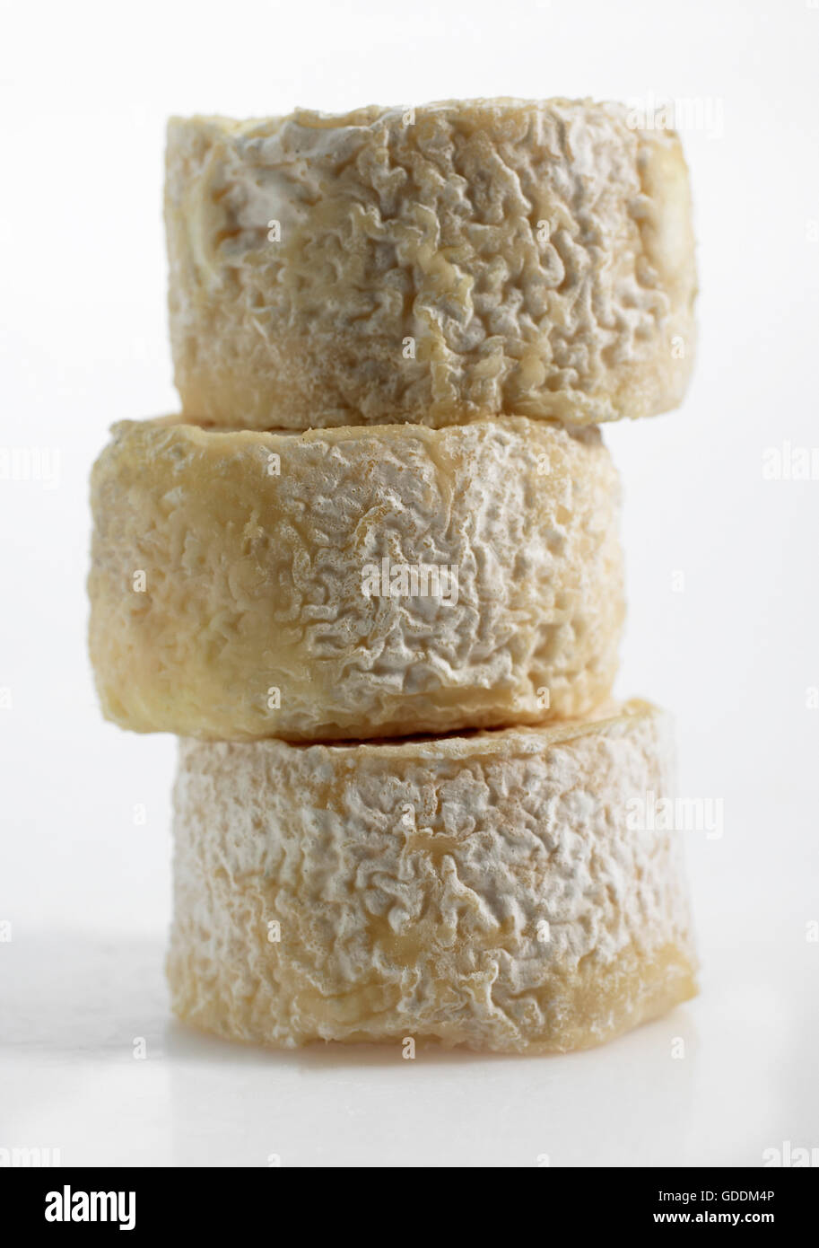 French Crottin Goat Cheese against White Background Stock Photo - Alamy