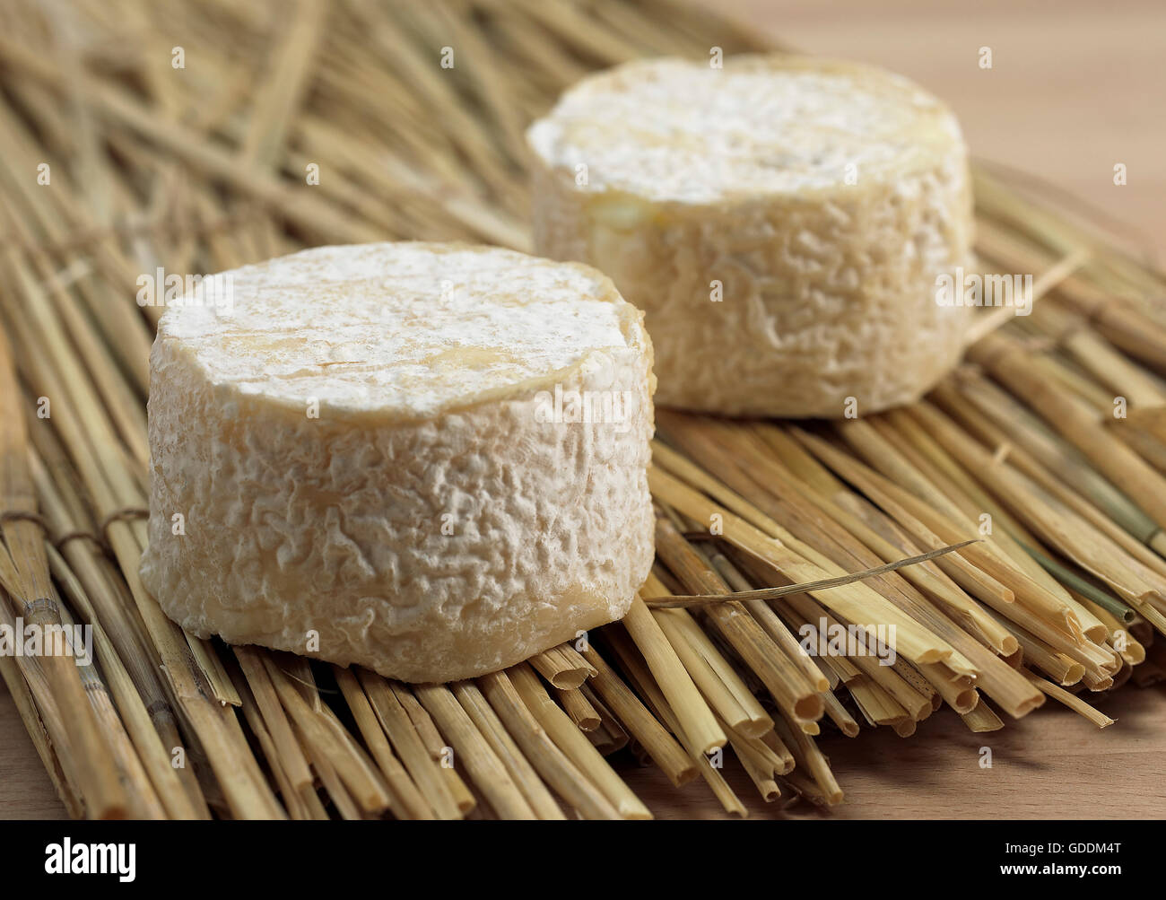 French Crottin Goat Cheese Stock Photo - Alamy