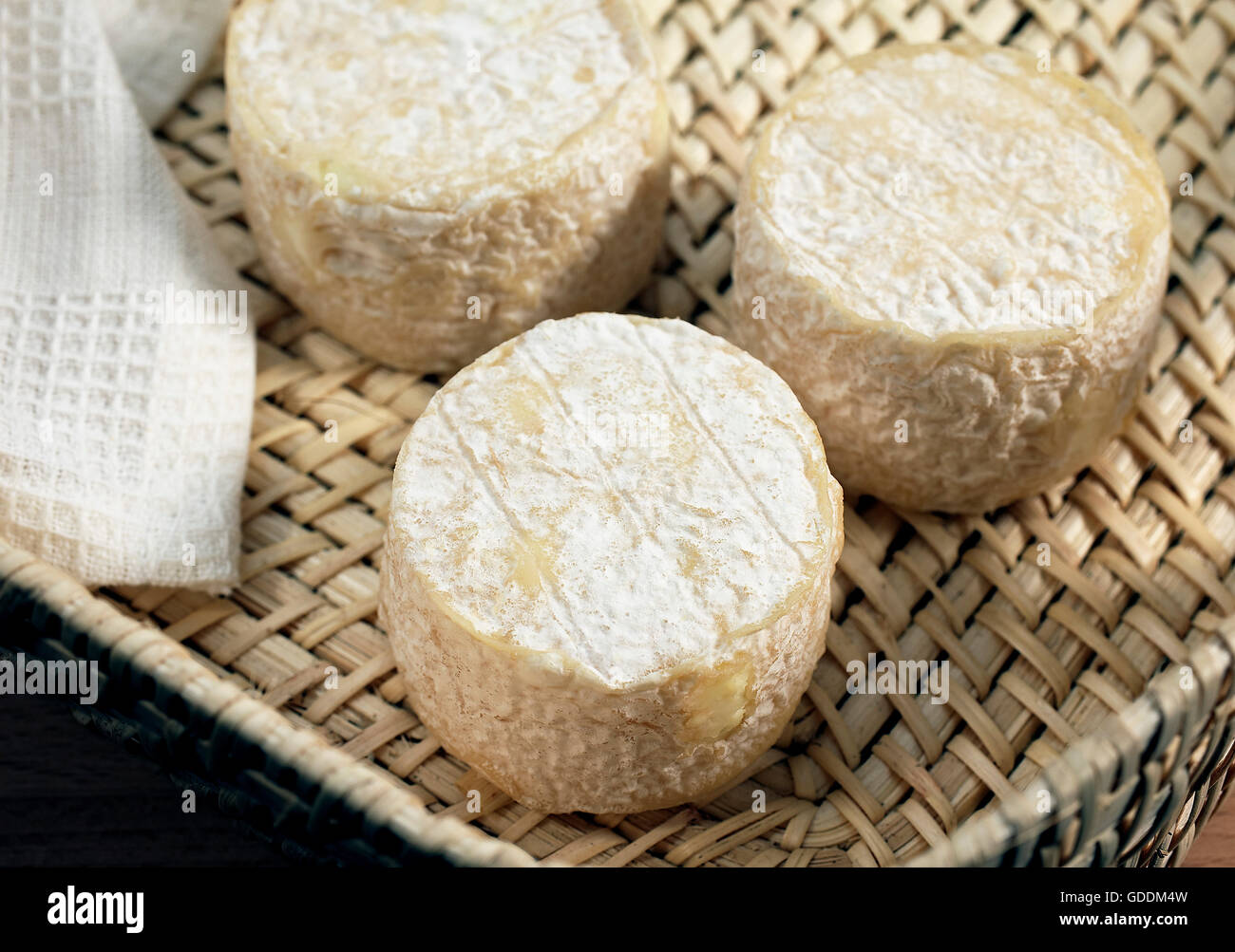 French Cheese called Crottin de Chevre, a Goat Cheese Stock Photo - Alamy