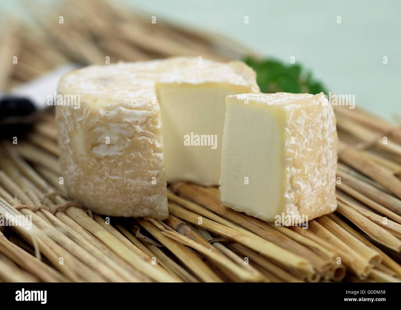 French Goat Cheese Called Crottin High Resolution Stock Photography and ...