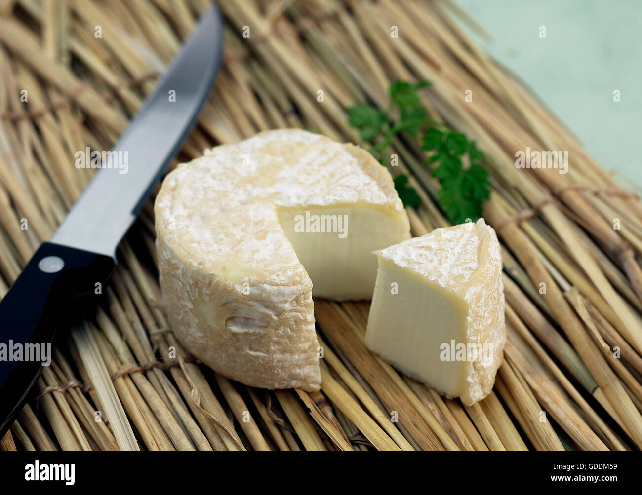 French Crottin Goat Cheese Stock Photo - Alamy