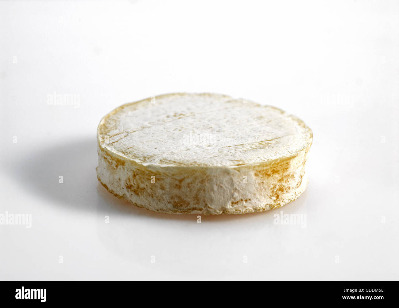 Rocamadour, French Cheese made from Goat's Milk Stock Photo - Alamy