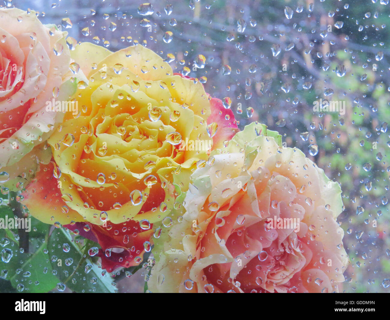 Color raindrops hi-res stock photography and images - Alamy