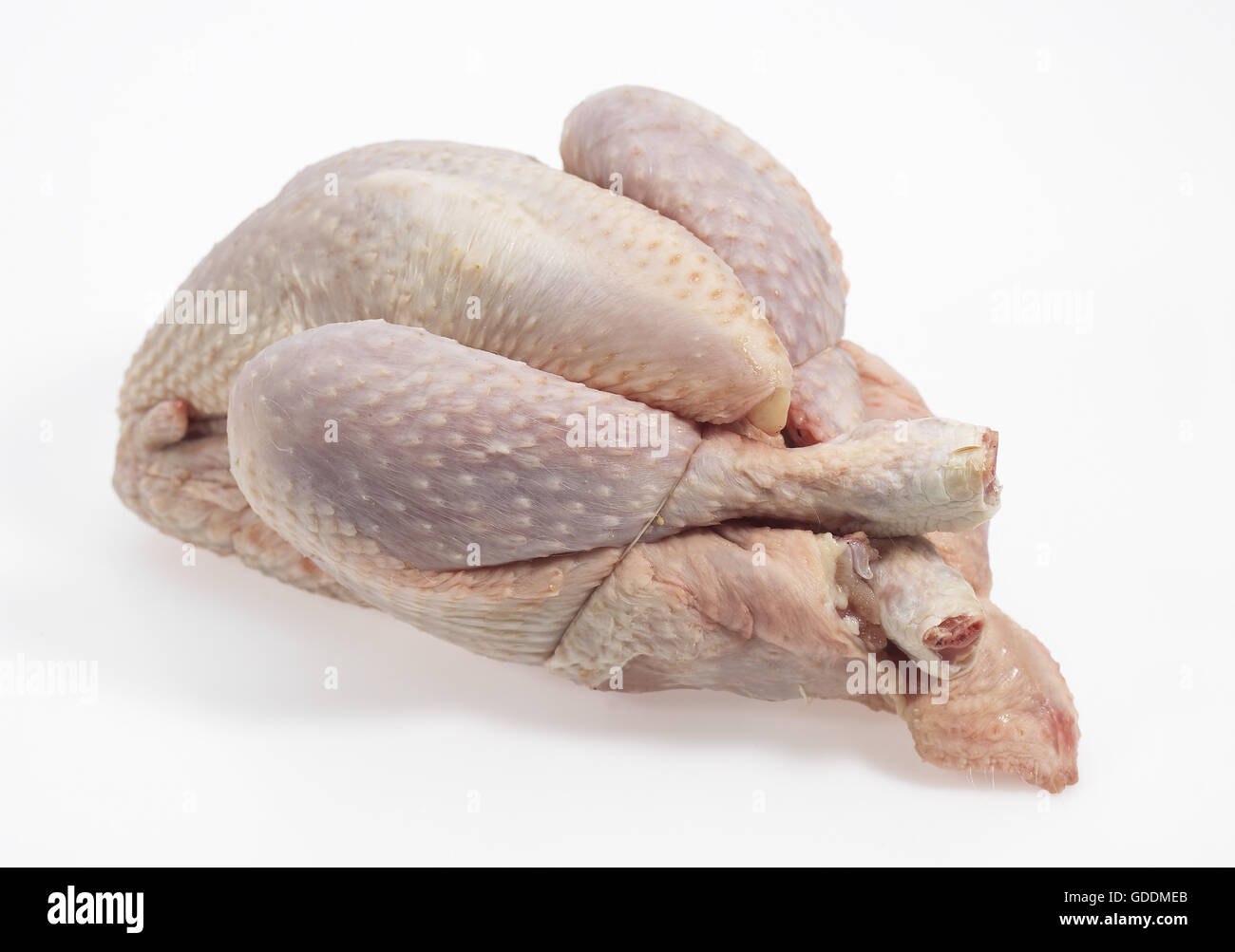 CHICKEN READY TO COOK AGAINST WHITE BACKGROUND Stock Photo - Alamy