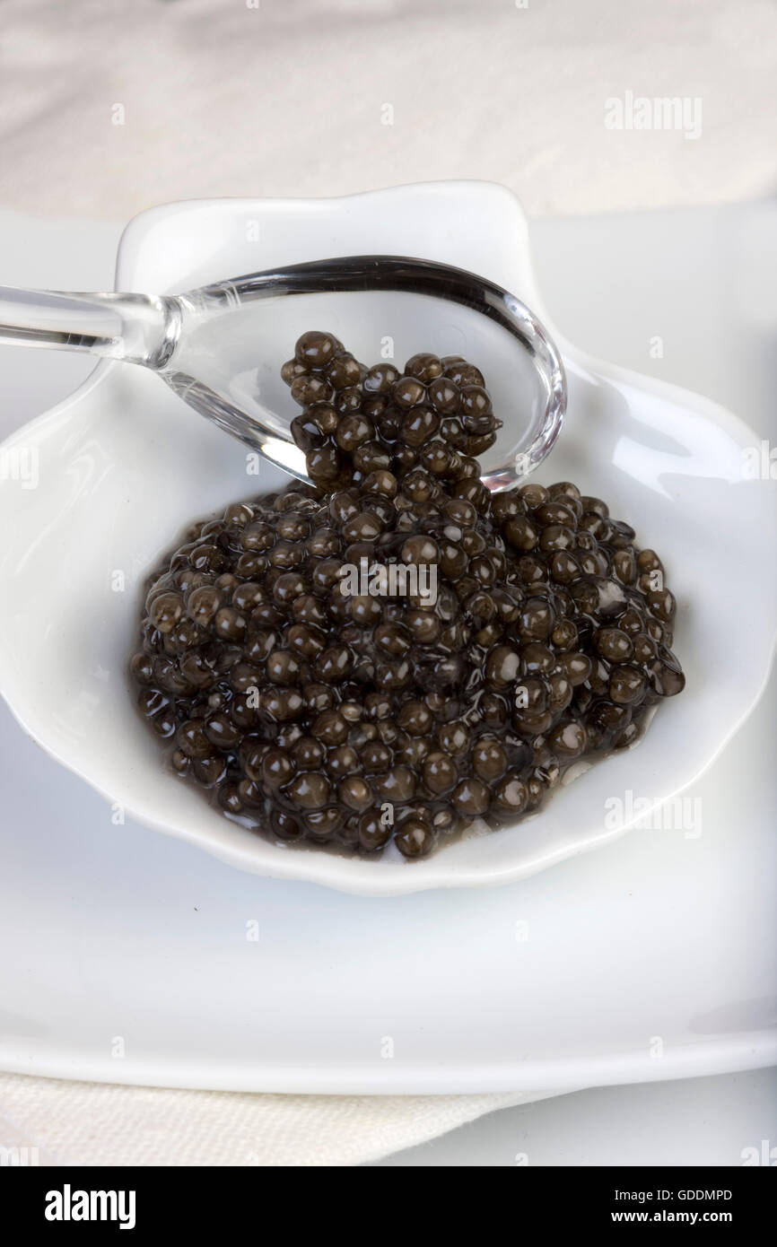 Sturgeon eggs hi-res stock photography and images - Alamy