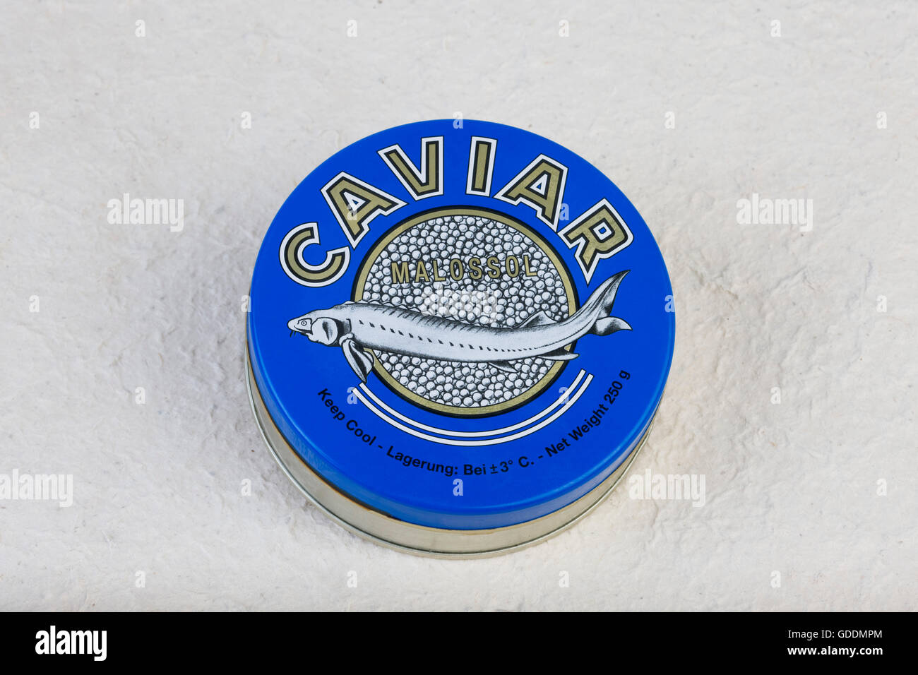 Sturgeons hi-res stock photography and images - Alamy