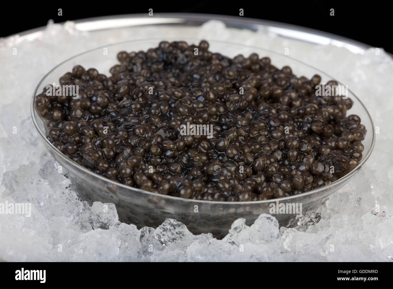 Sturgeon eggs hi-res stock photography and images - Alamy