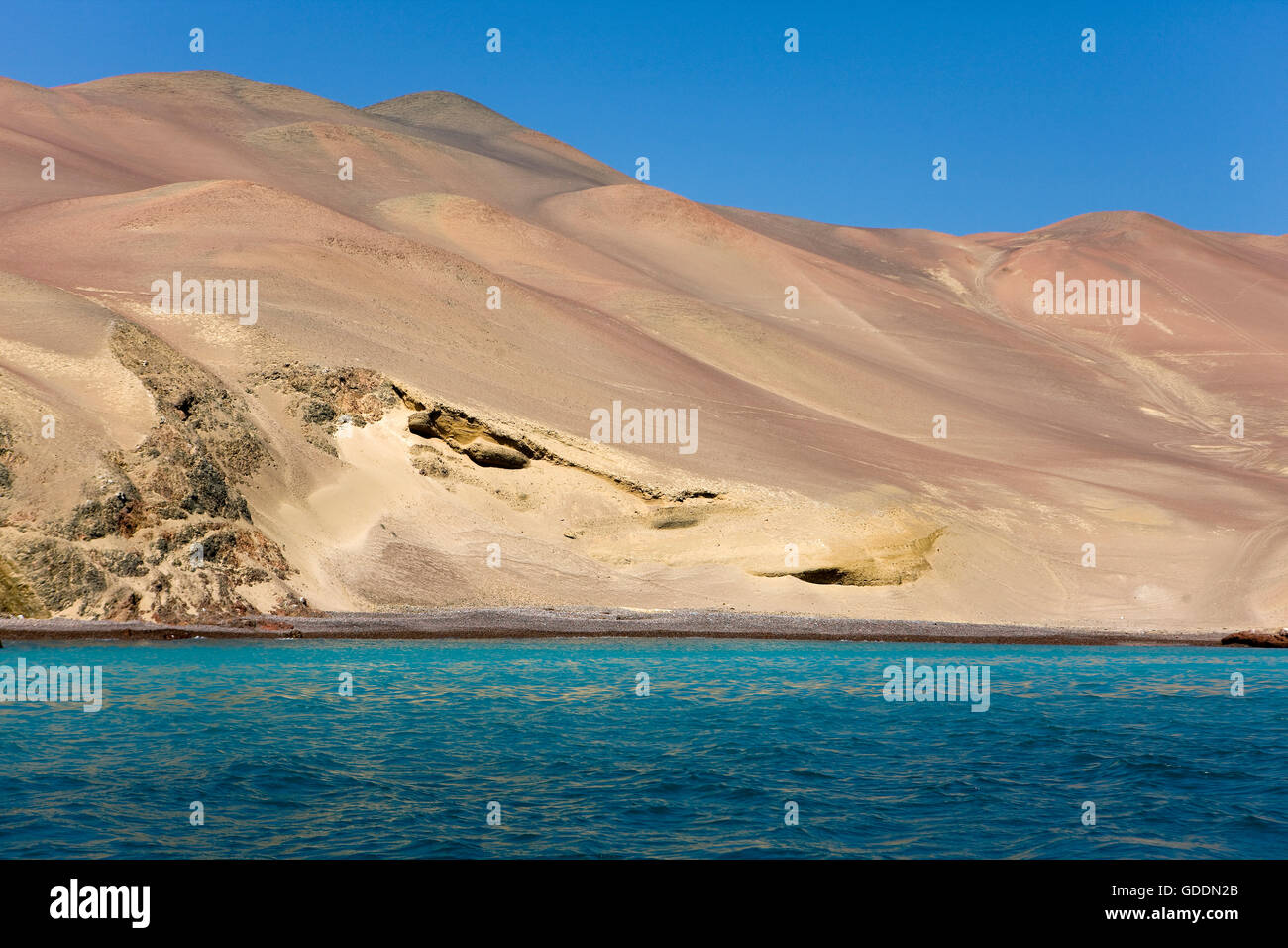 Paracas national park hi-res stock photography and images - Alamy