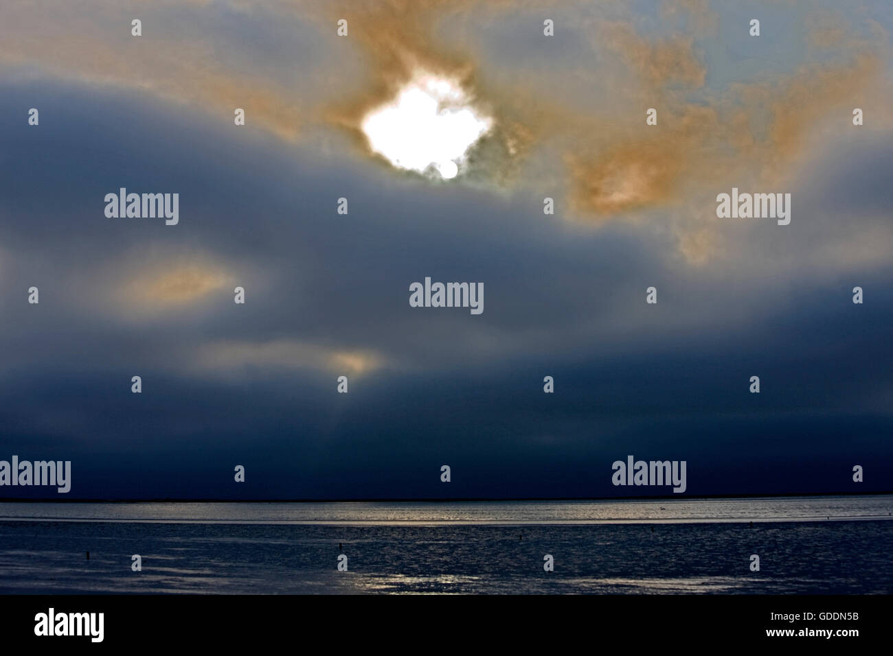 Sea Shore at Walvis Bay in Namibia Stock Photo - Alamy