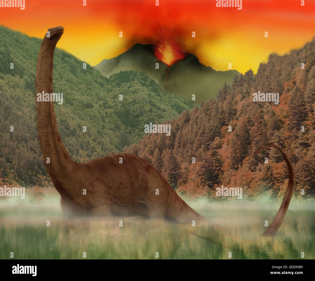 Diplodocus, Gigantic Herbivorous Sauropods from the Late Jurassic ...