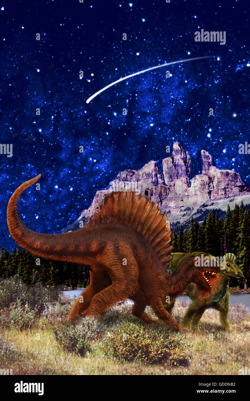 Late cretaceous period hi-res stock photography and images - Alamy