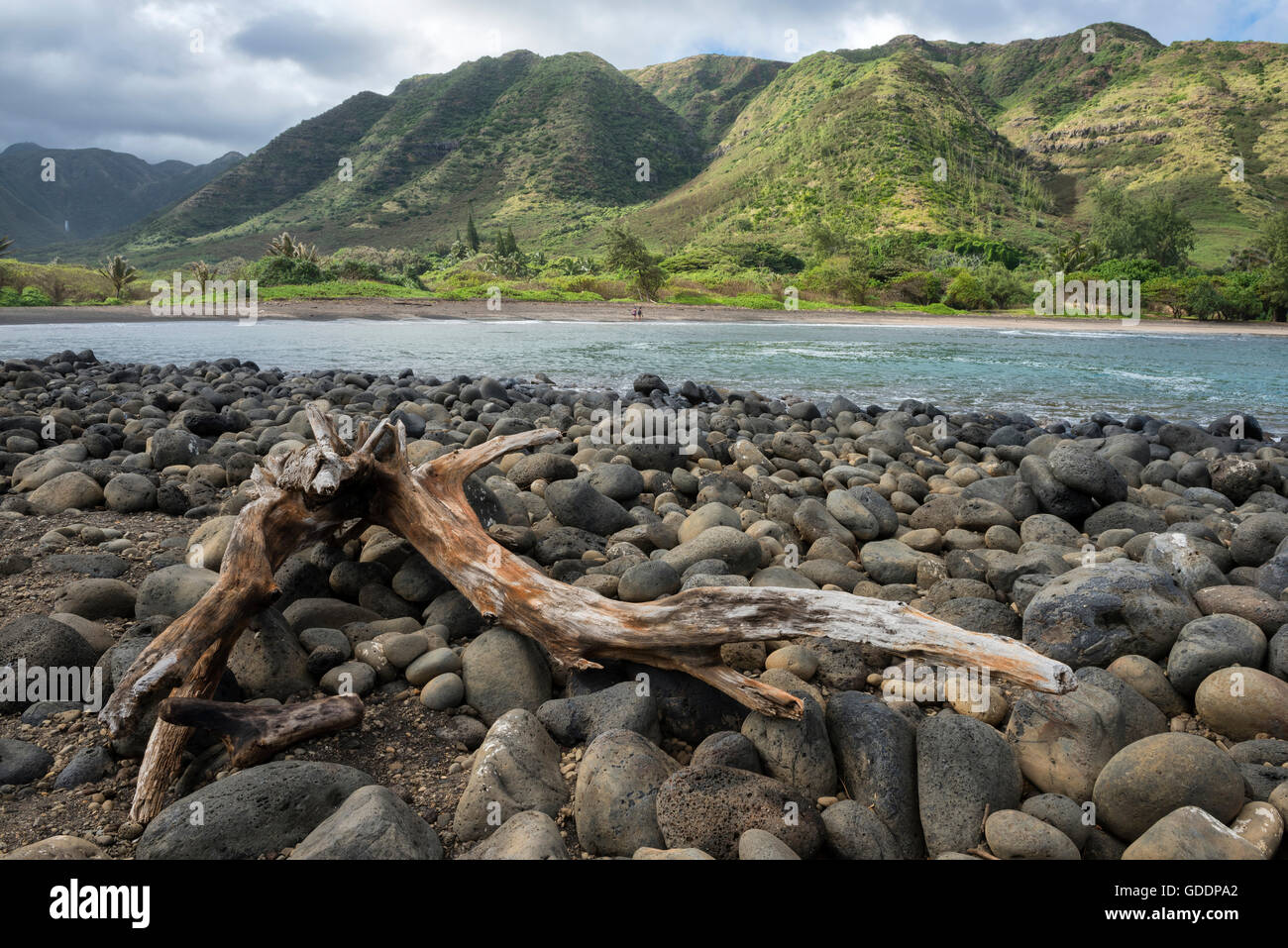 Halawa hi-res stock photography and images - Alamy