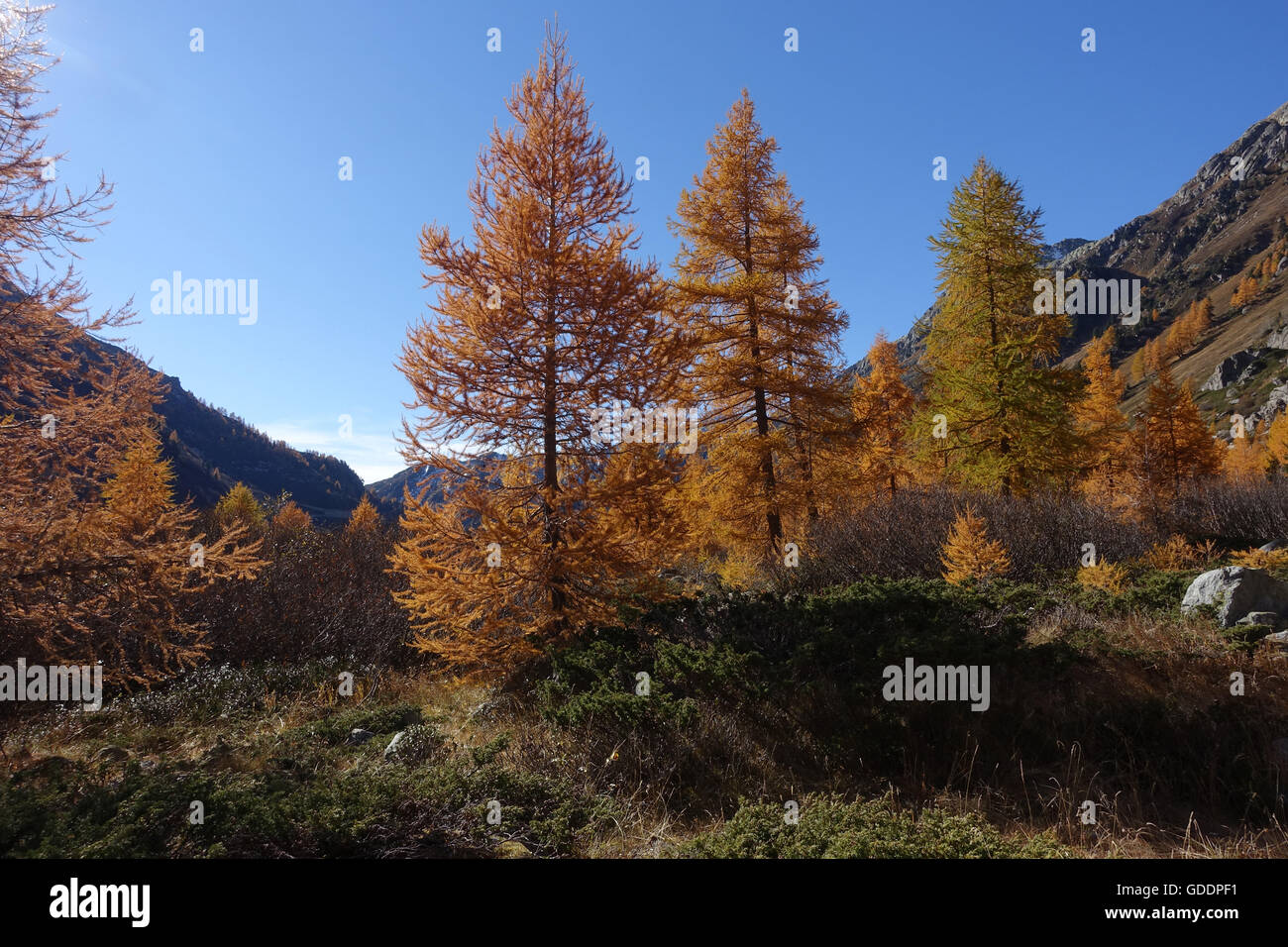 Gletsch hi-res stock photography and images - Alamy