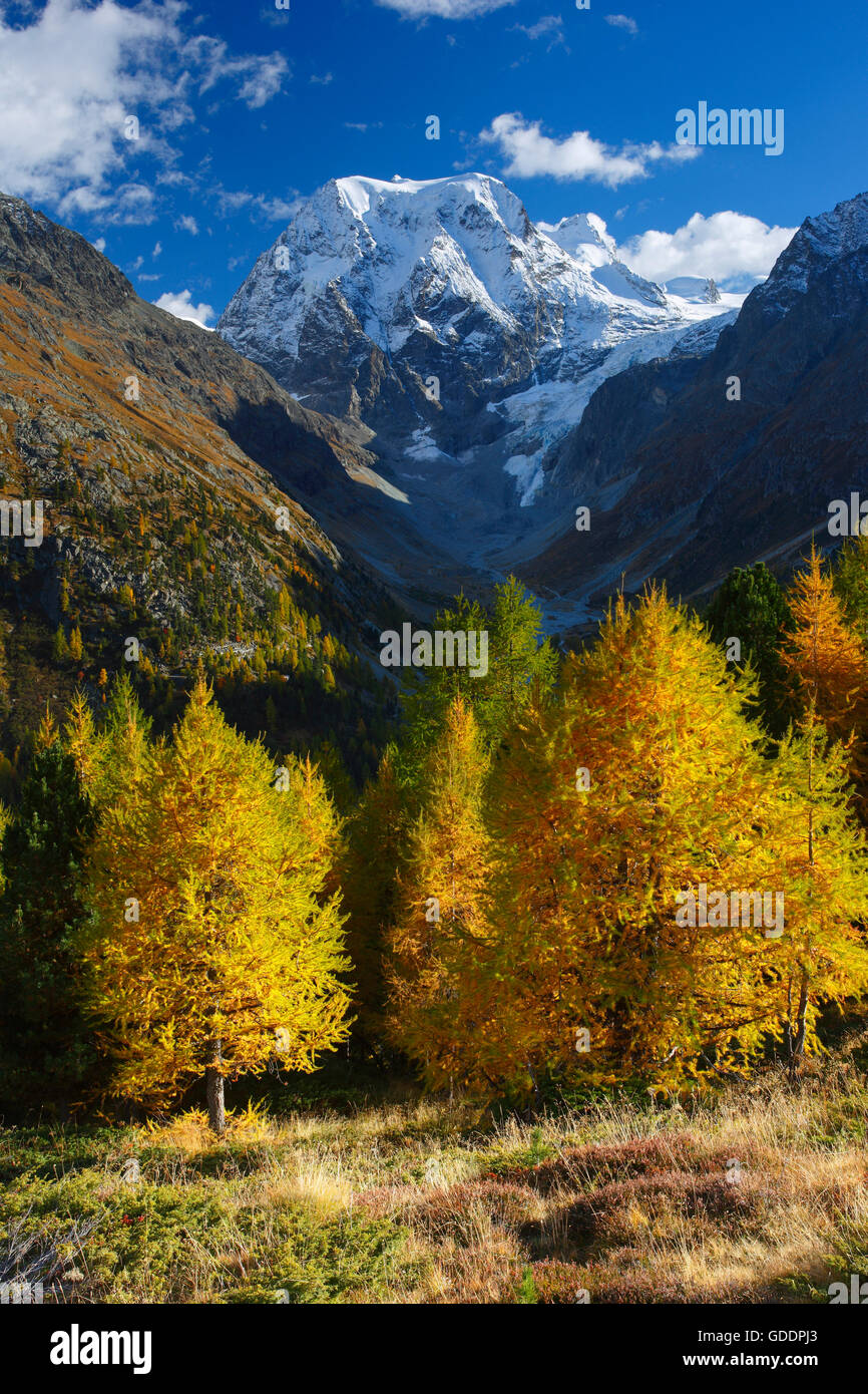 Collon hi-res stock photography and images - Alamy