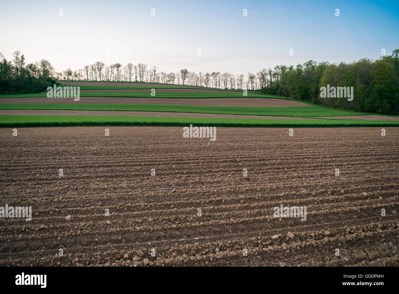 Farmland in the Evening in Gen Rock, Pennsylvania Stock Photo - Alamy