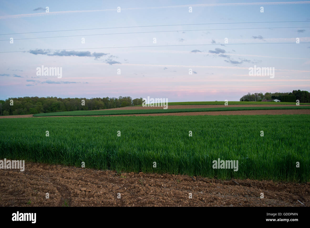 Farmland in the Evening in Gen Rock, Pennsylvania Stock Photo - Alamy