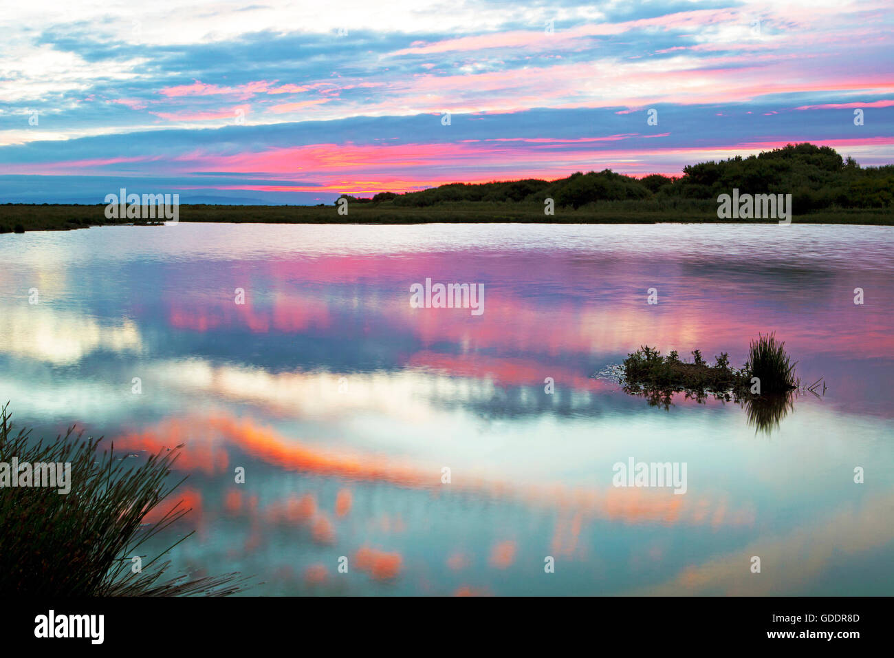 UK Weather: Sunrise over RSPB Marshside, Southport, UK. 15-July-2016. A ...