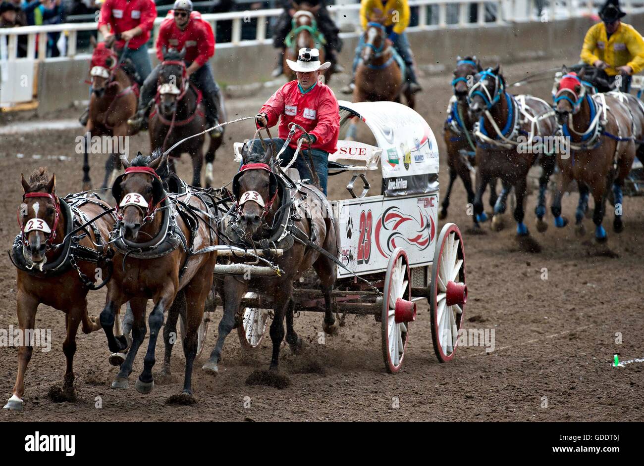 Calgary stampede canada chuckwagon hi-res stock photography and images ...