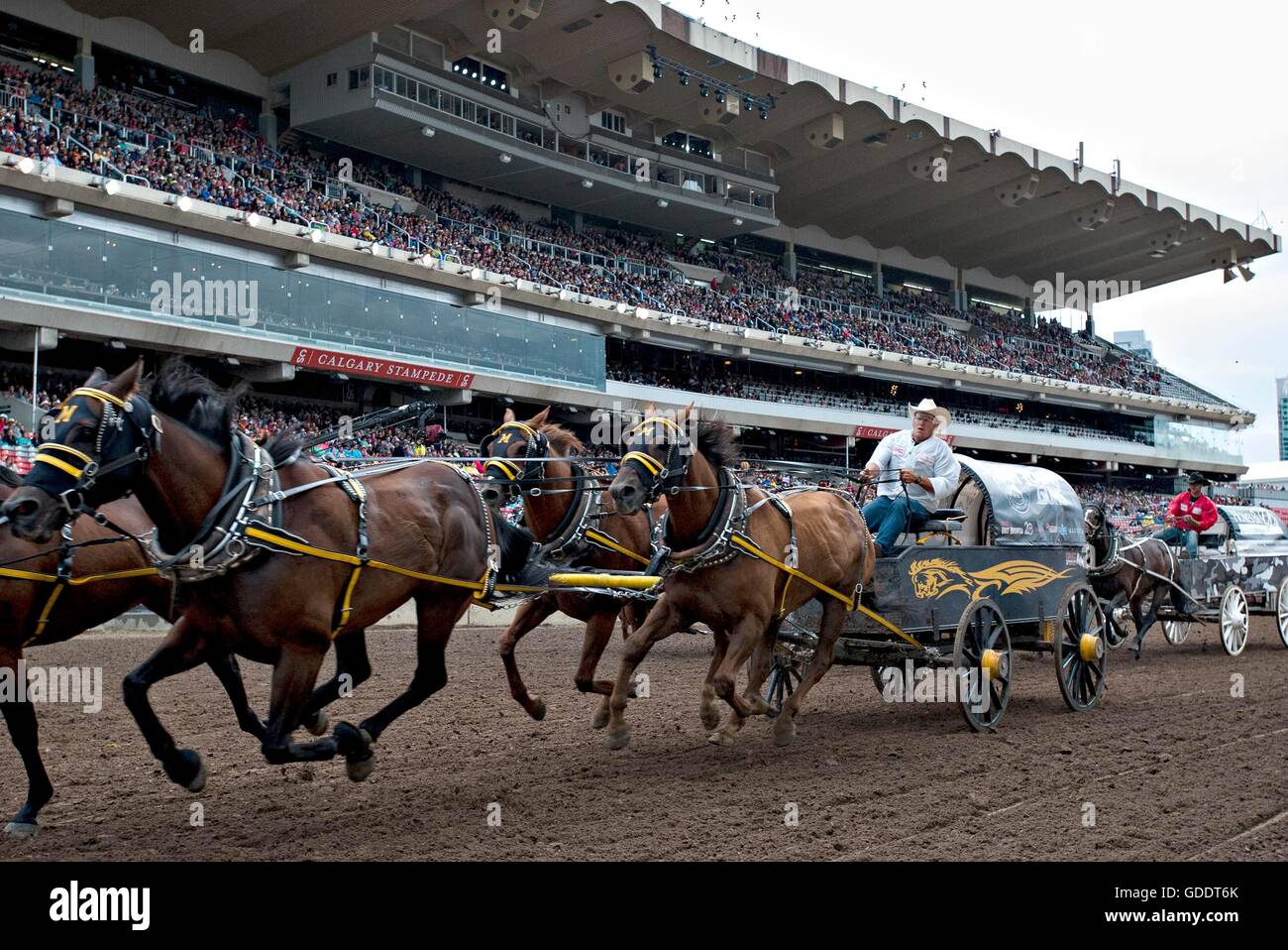 Calgary, Canada. 14th July, 2016. Drivers race their wagons during the ...