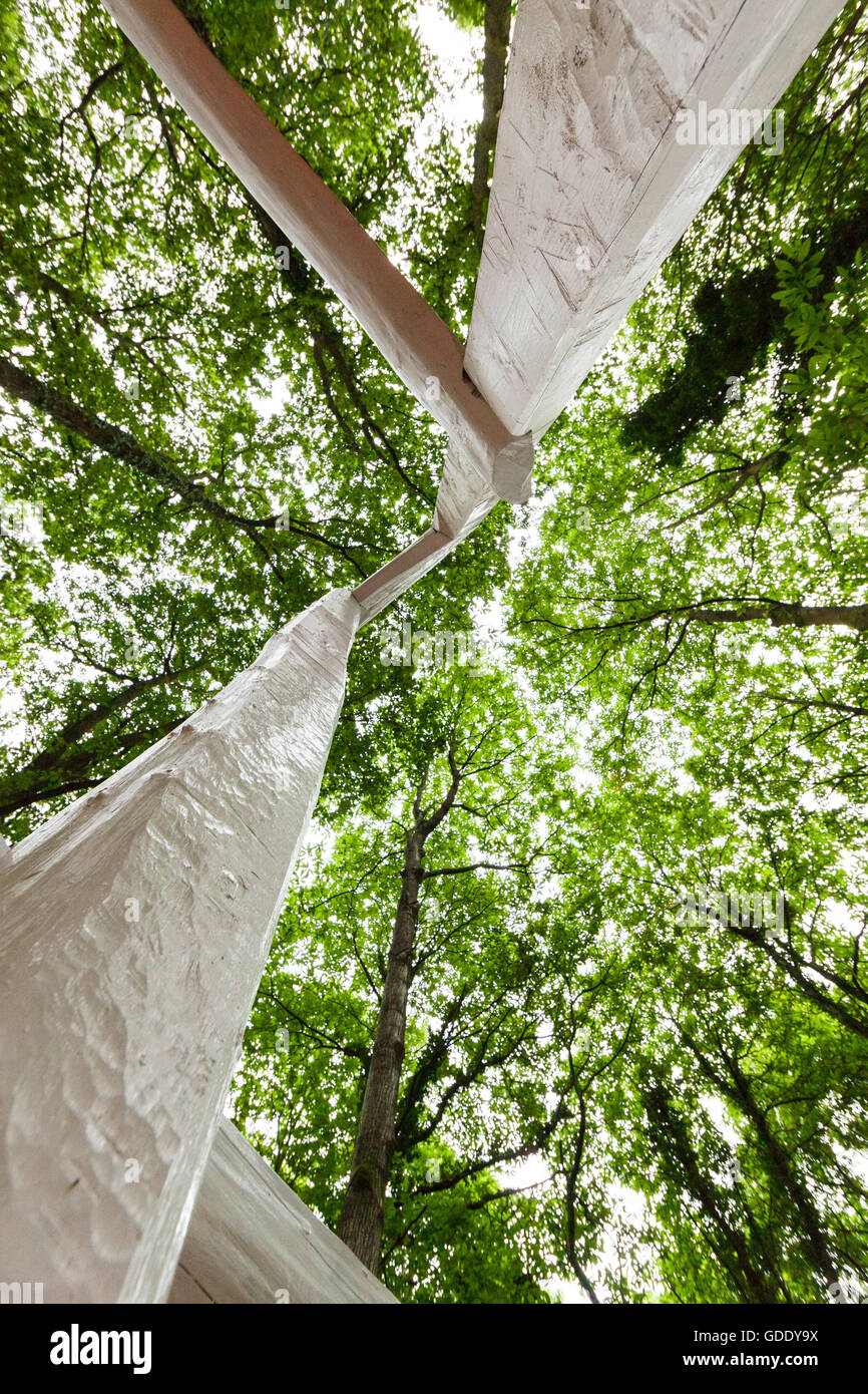 Forest of Dean, Beechenhurst, UK. 15th July, 2016. Pomona Zipser's new ...