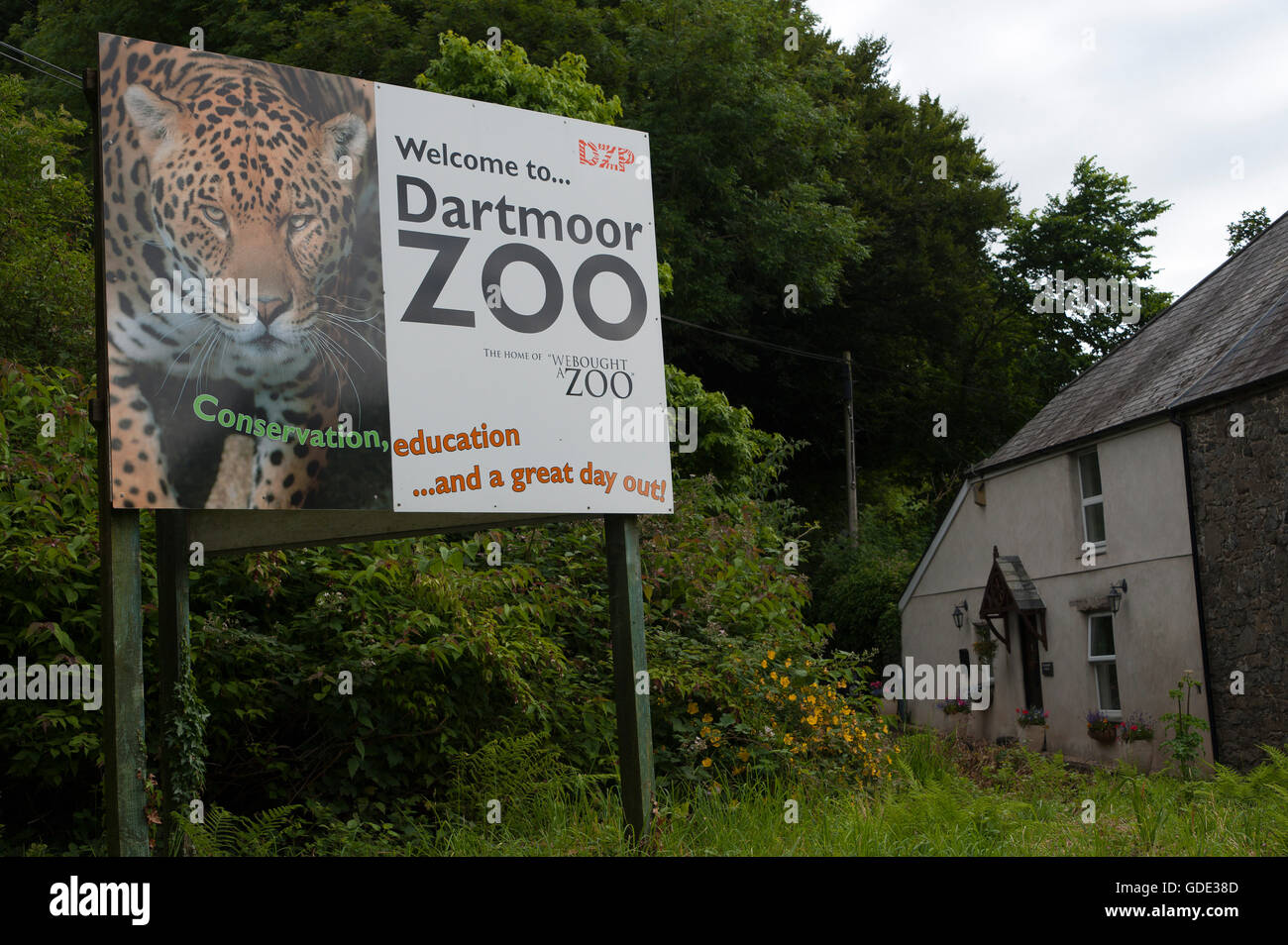 Dartmoor zoo hi-res stock photography and images - Alamy