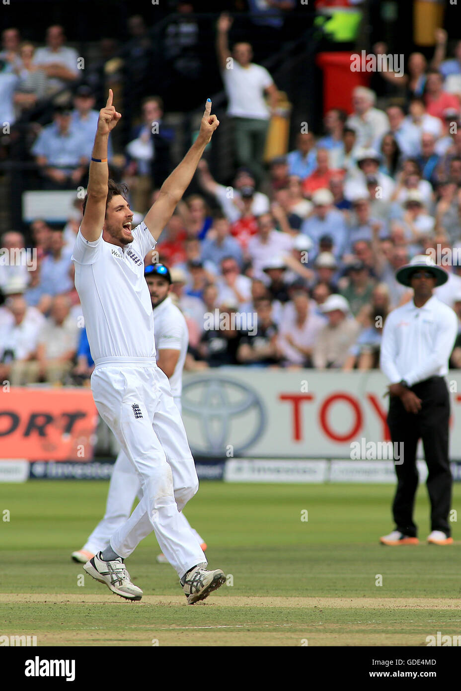 Cricket bowler appeals hi-res stock photography and images - Alamy