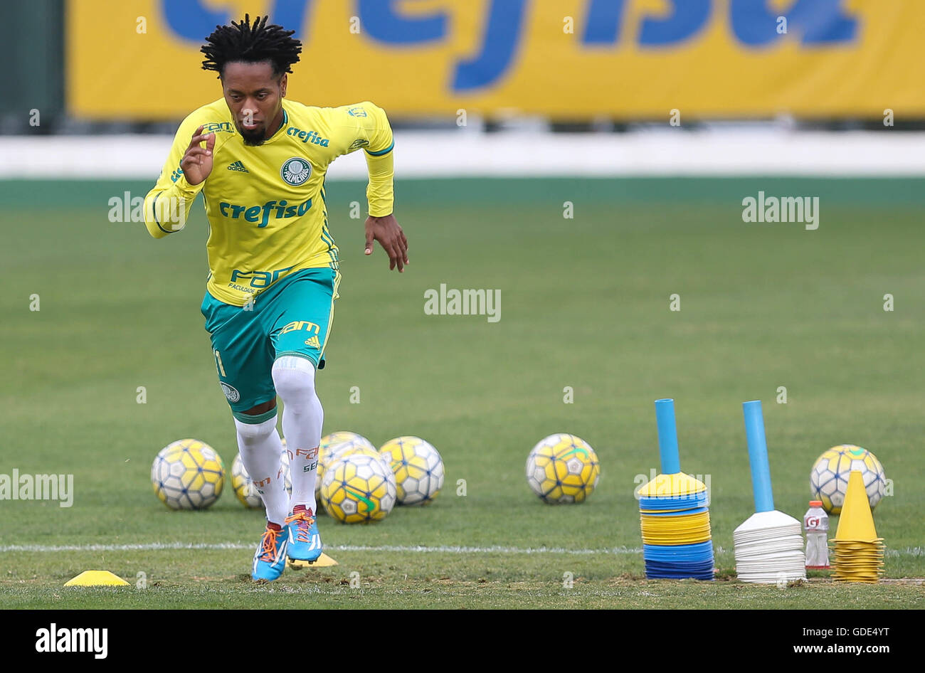 The player Ze Roberto, the SE Palmeiras, during training, the Football ...
