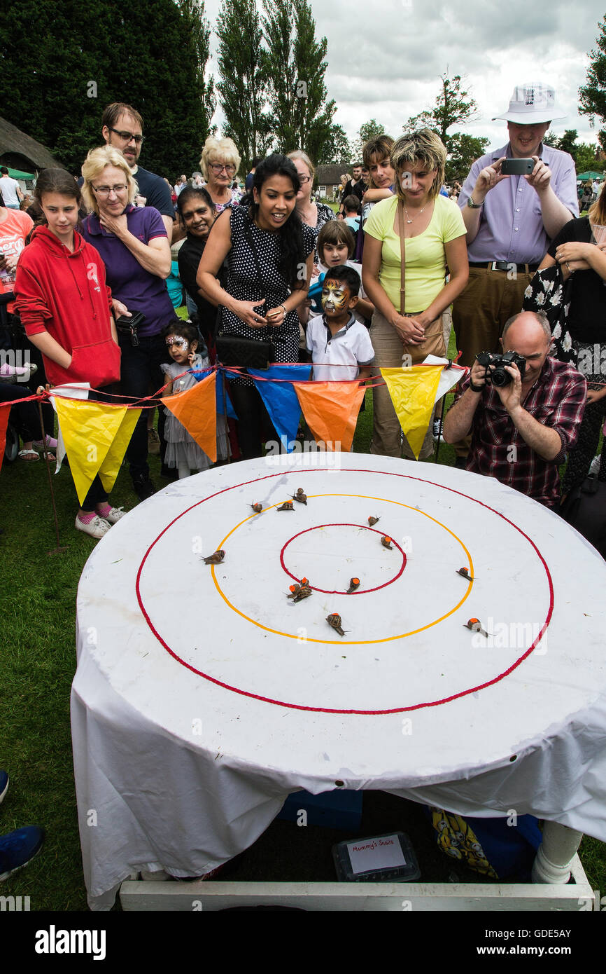 World snail racing championship hi-res stock photography and images - Alamy