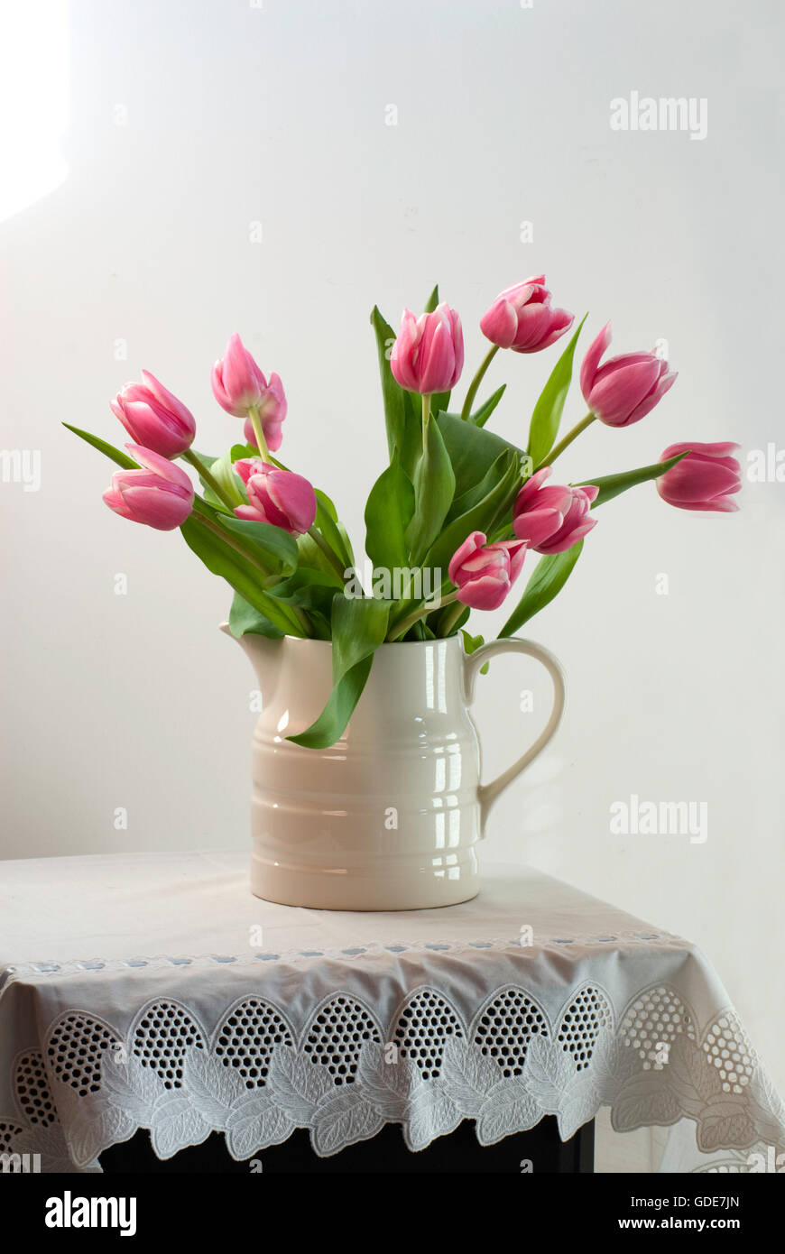 Pink Tulips in white pitcher on lace tablecloth Stock Photo - Alamy