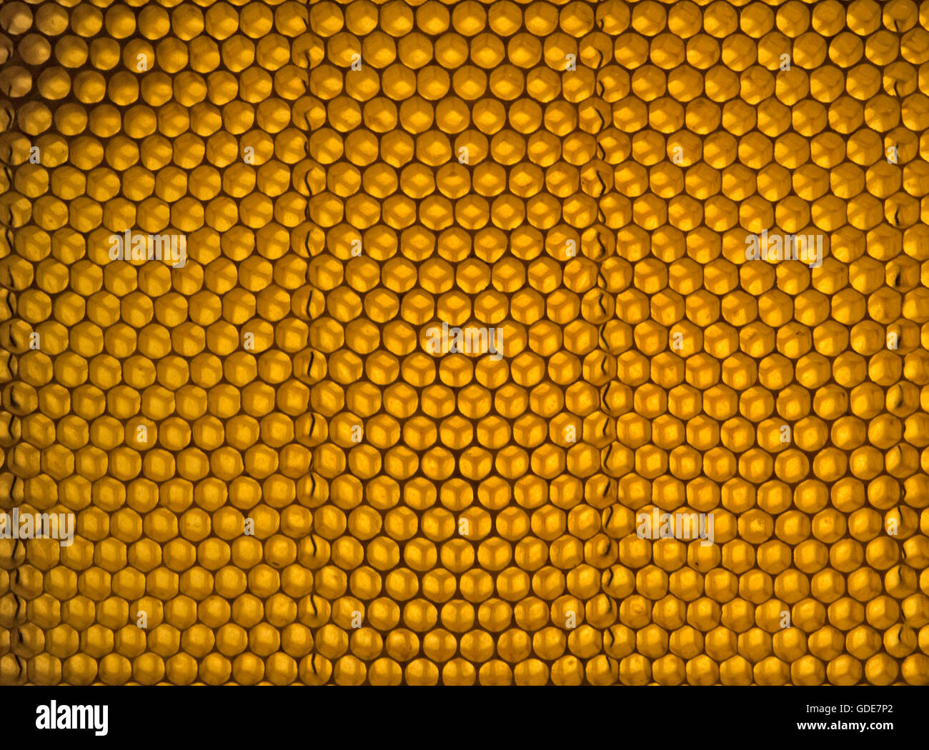 Honeycomb with "peace sign" reflections Stock Photo - Alamy