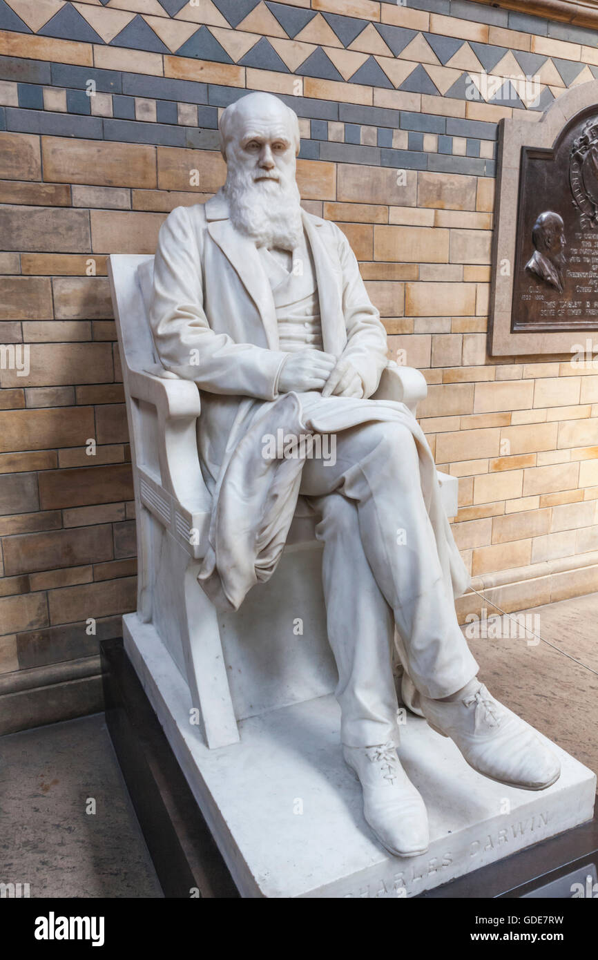 England,London,Natural History Museum,Statue of Charles Darwin Stock ...