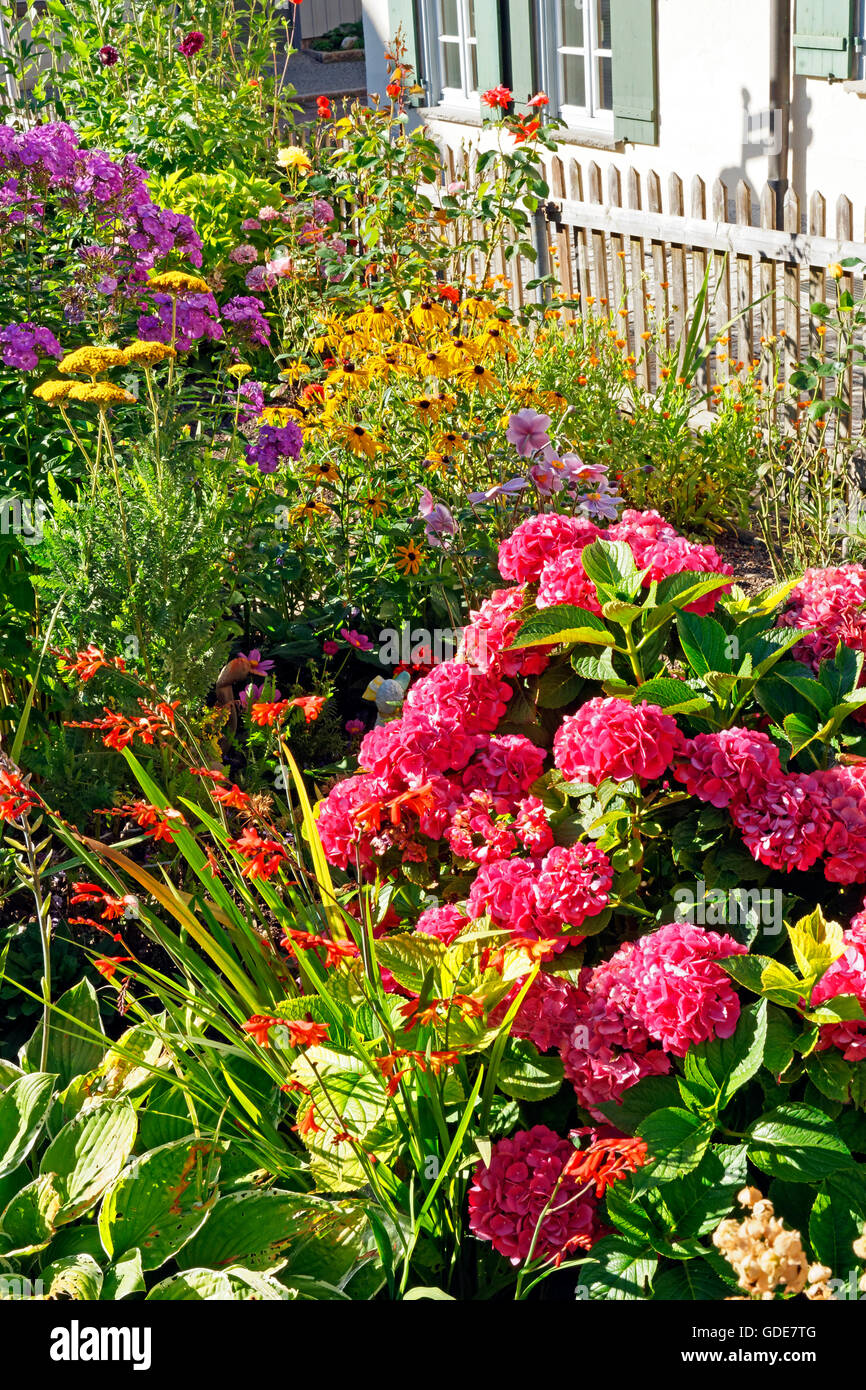 Guild house lane hi-res stock photography and images - Alamy