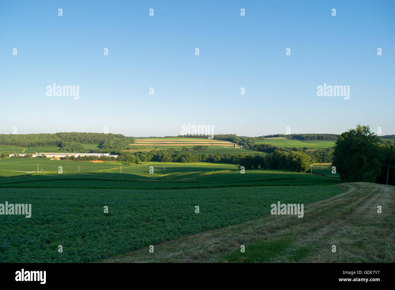 Pennsylvania farmland summer landscape hi-res stock photography and ...
