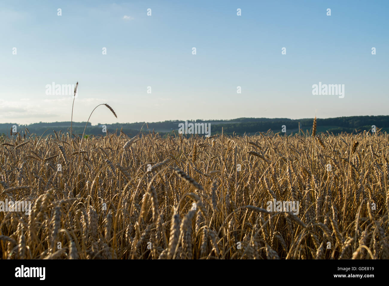 Farmland In Southern Pennsylvania Stock Photo - Alamy