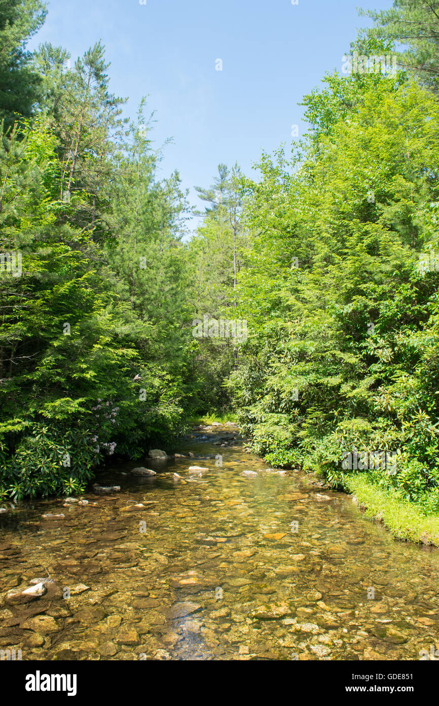 Michaux state park hi-res stock photography and images - Alamy