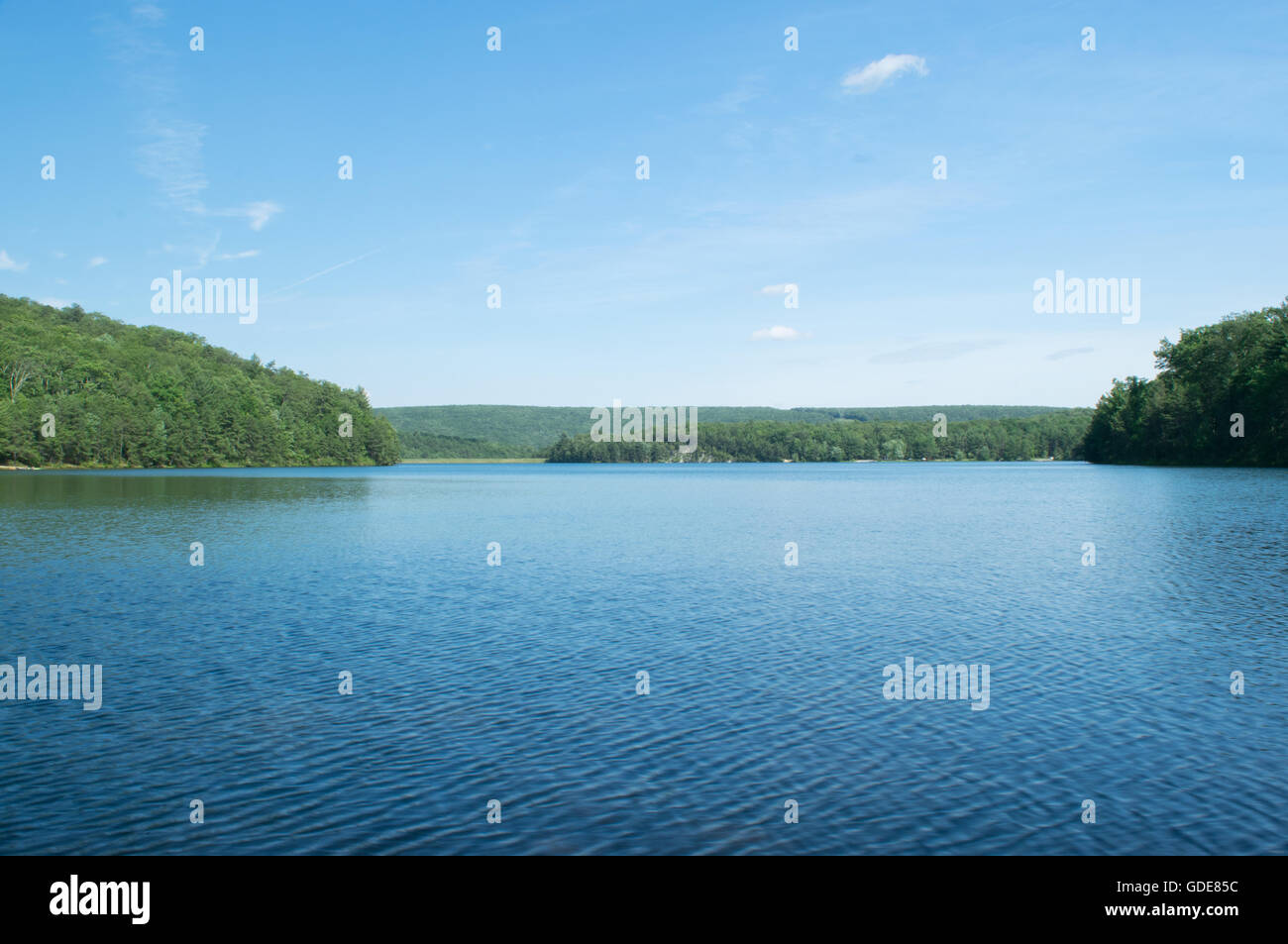 Michaux state park hi-res stock photography and images - Alamy
