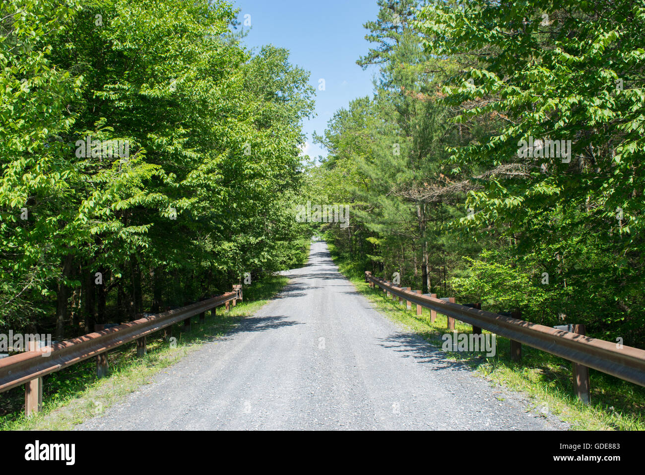 Michaux state park hi-res stock photography and images - Alamy