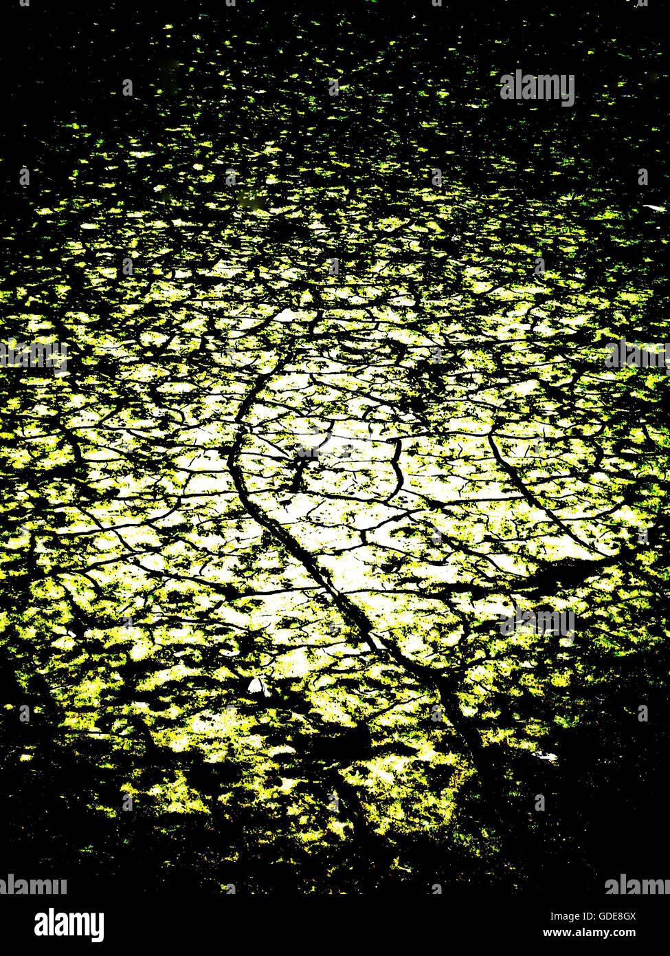 Dried out earth hi-res stock photography and images - Alamy