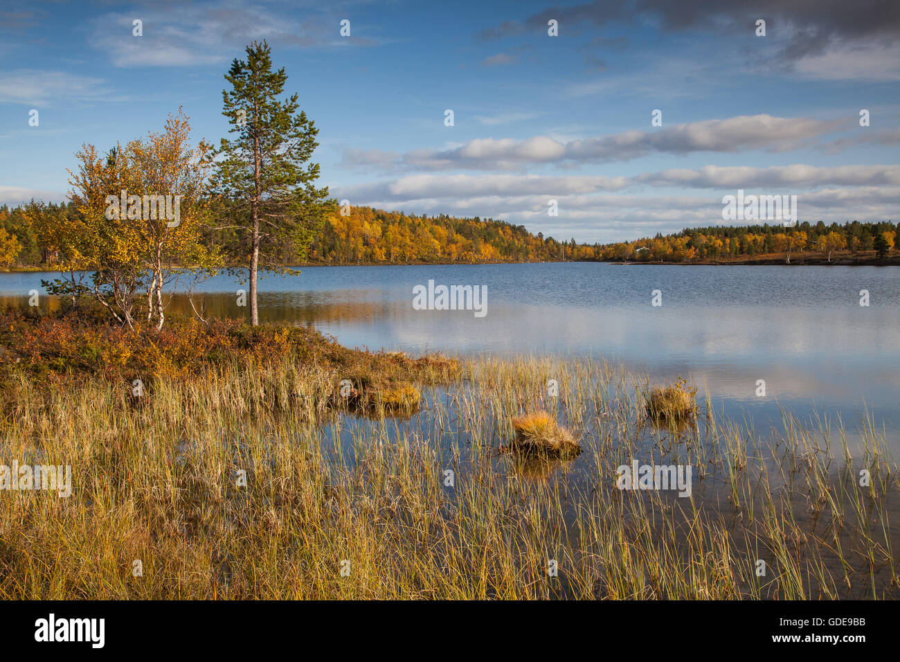 Finland scenery hi-res stock photography and images - Alamy