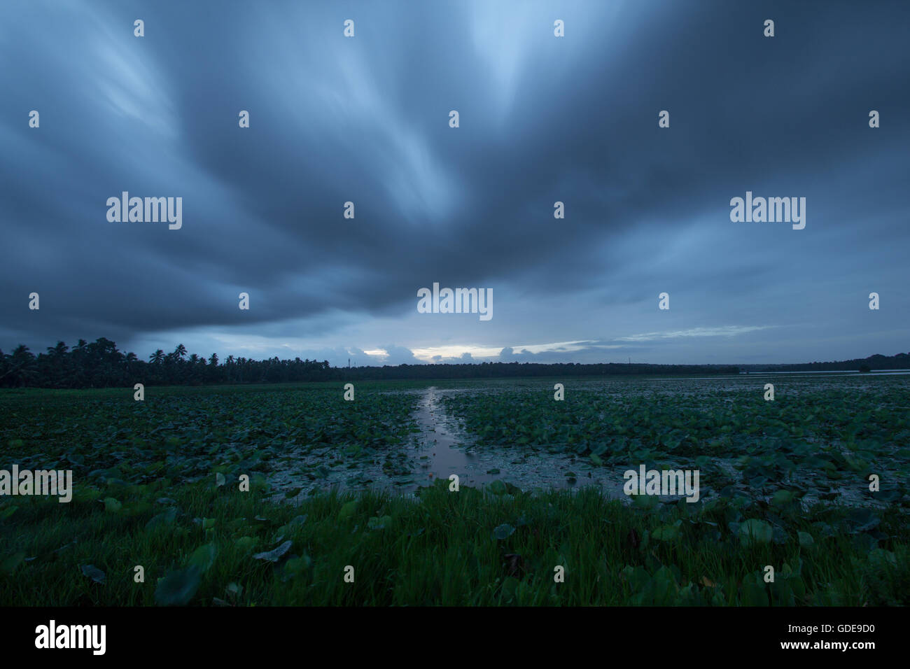 Kerala monsoon hi-res stock photography and images - Alamy