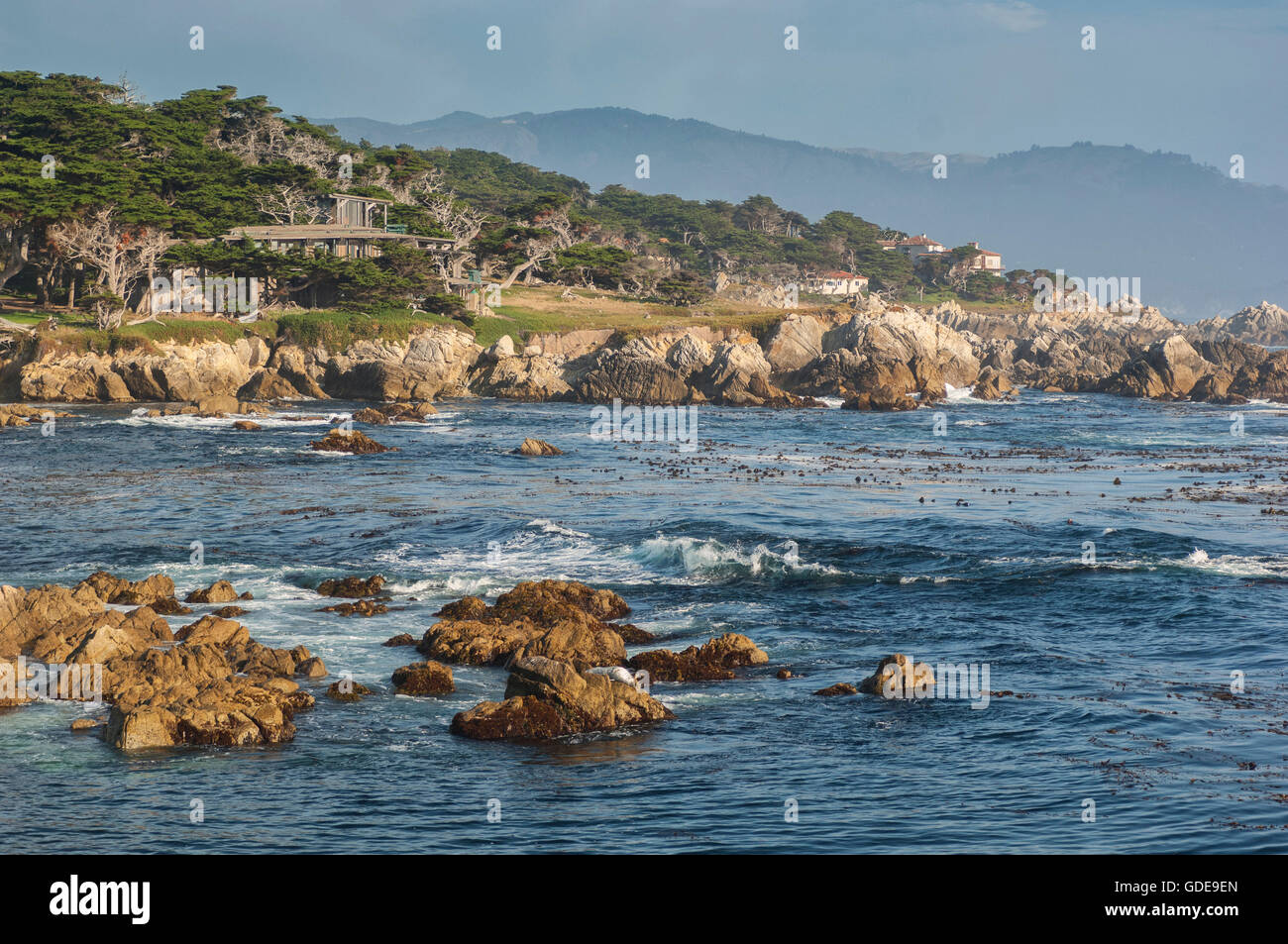 USA,California,Coast,Monterey Peninsula,scenic coastline along 17 Mile ...
