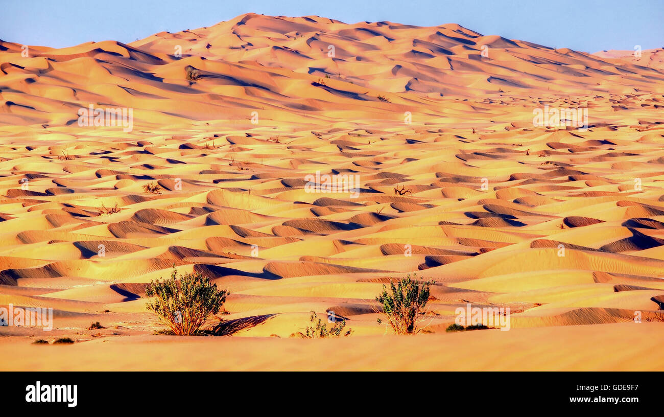 Sand dunes,Oman,Rub al Khali Stock Photo - Alamy