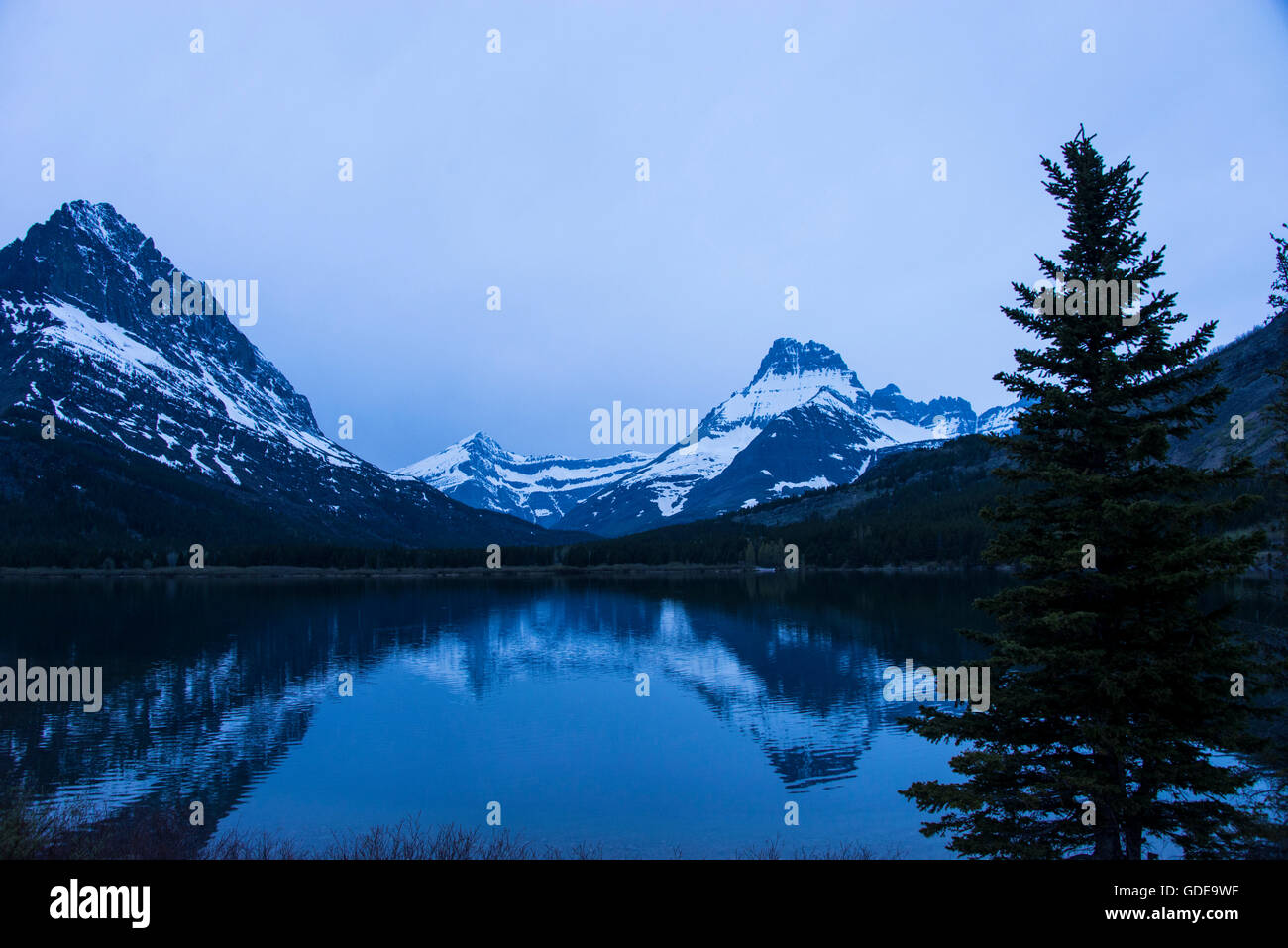 swiftcurrent lake,glacier national park,montana Stock Photo - Alamy