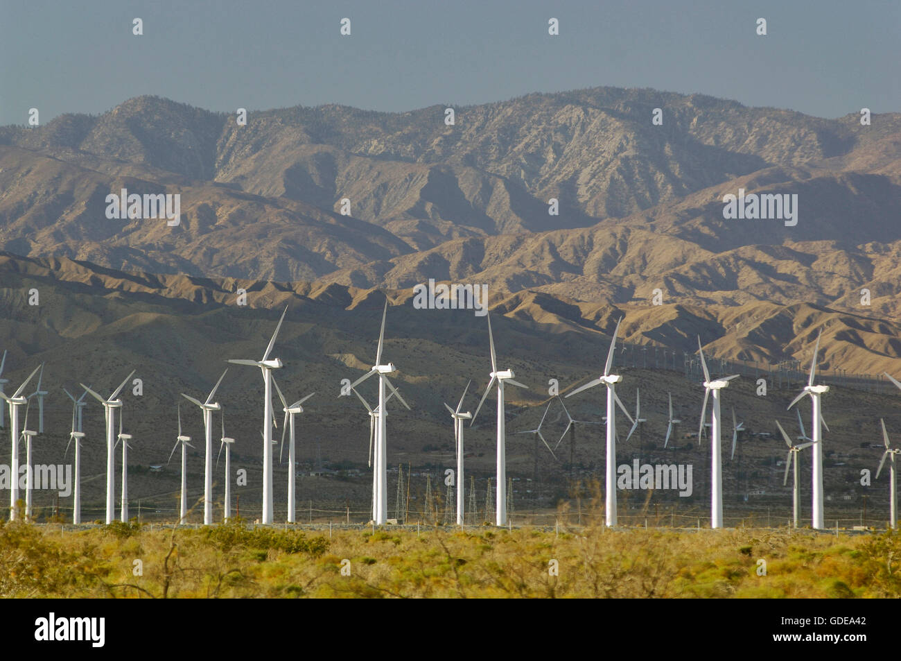 SA,California,SOCAL,Palm Desert,Palm Springs,wind mill,energy,Mojave ...